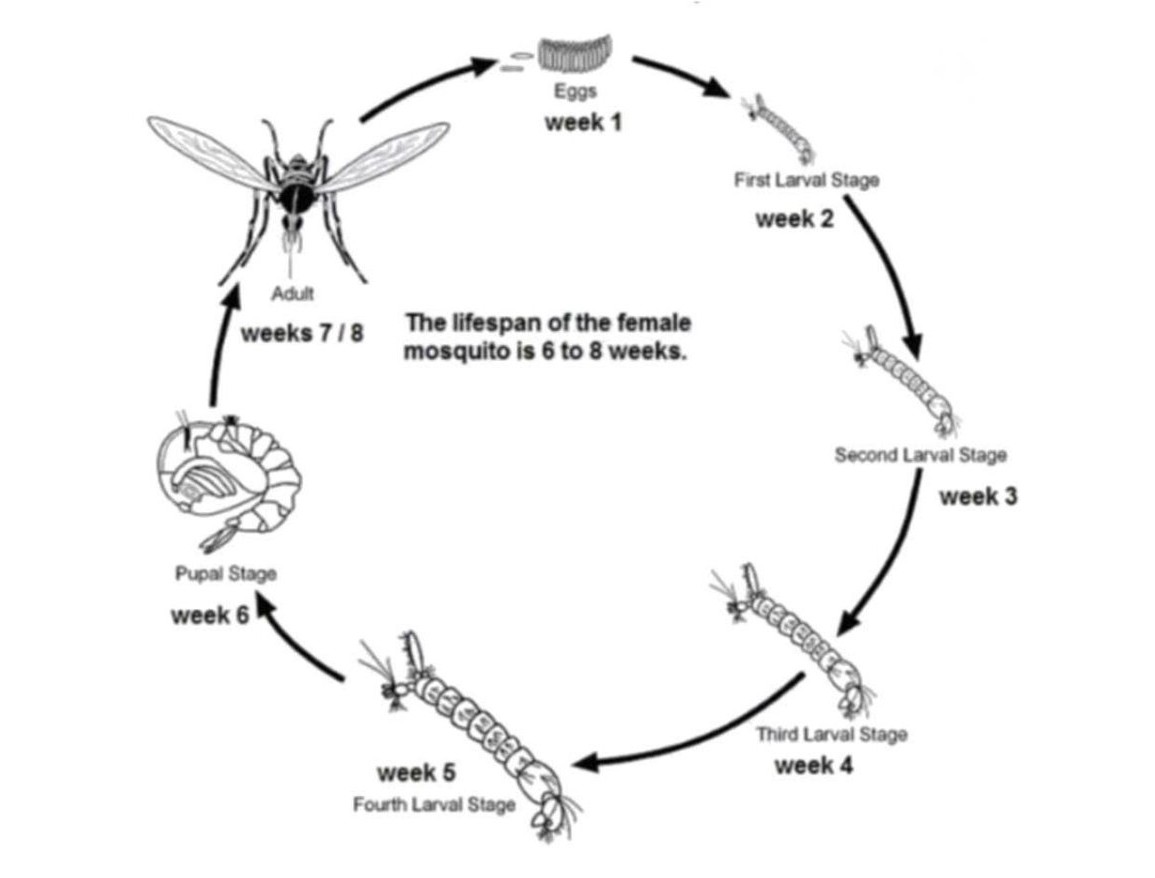IELTS Forecast Academic Writing Test 1 (Free Online Test & Samples)